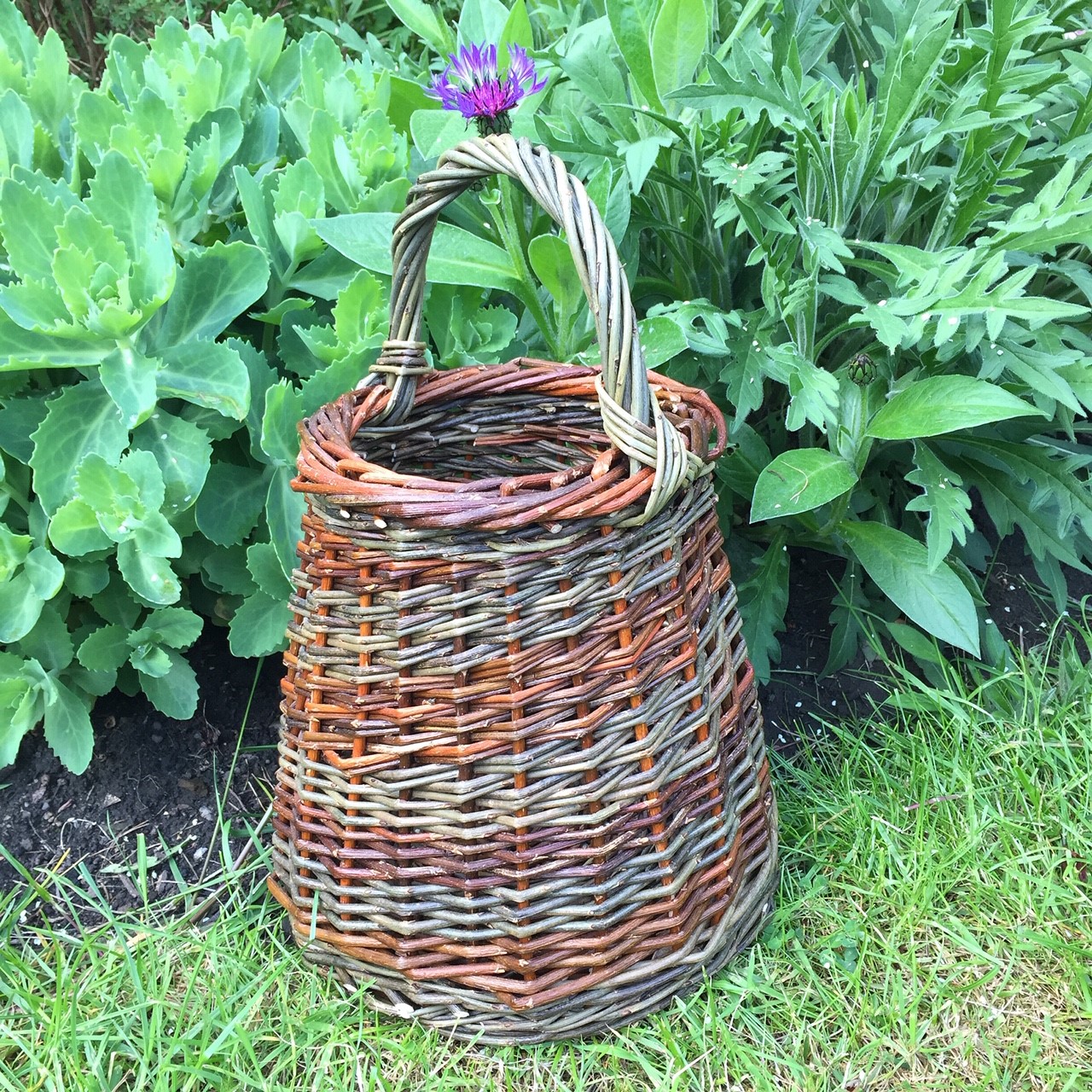 Basket Making Beginners & Improvers – PACCTutors
